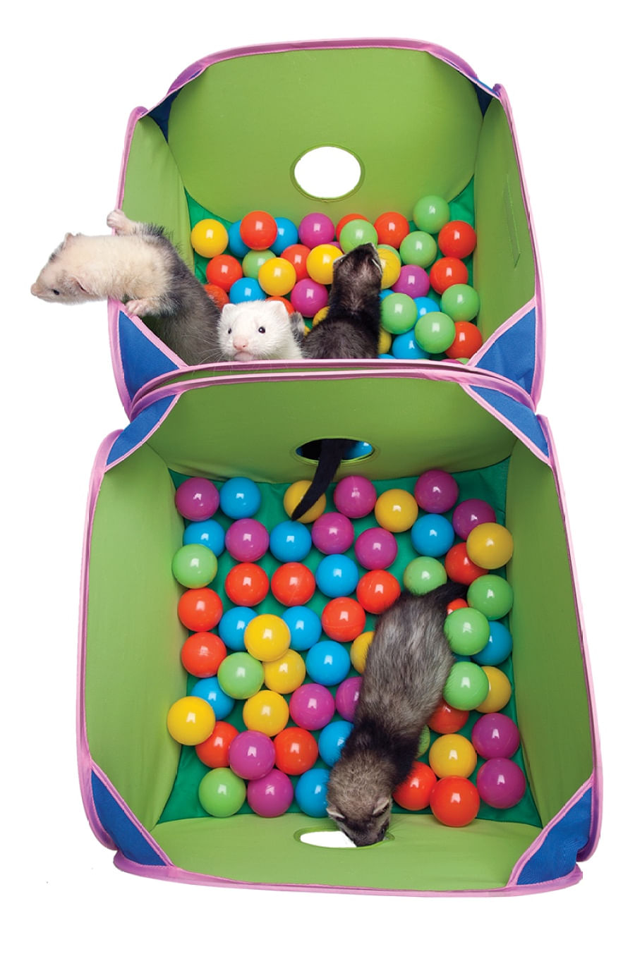 Juguete Interactivo Pop and Play para Huron